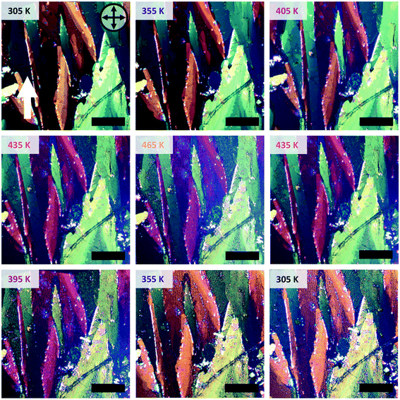 New paper - Thermal behavior and polymorphism of 2,9-didecyldinaphtho[2,3-b:2′,3′-f]thieno[3,2-b ...